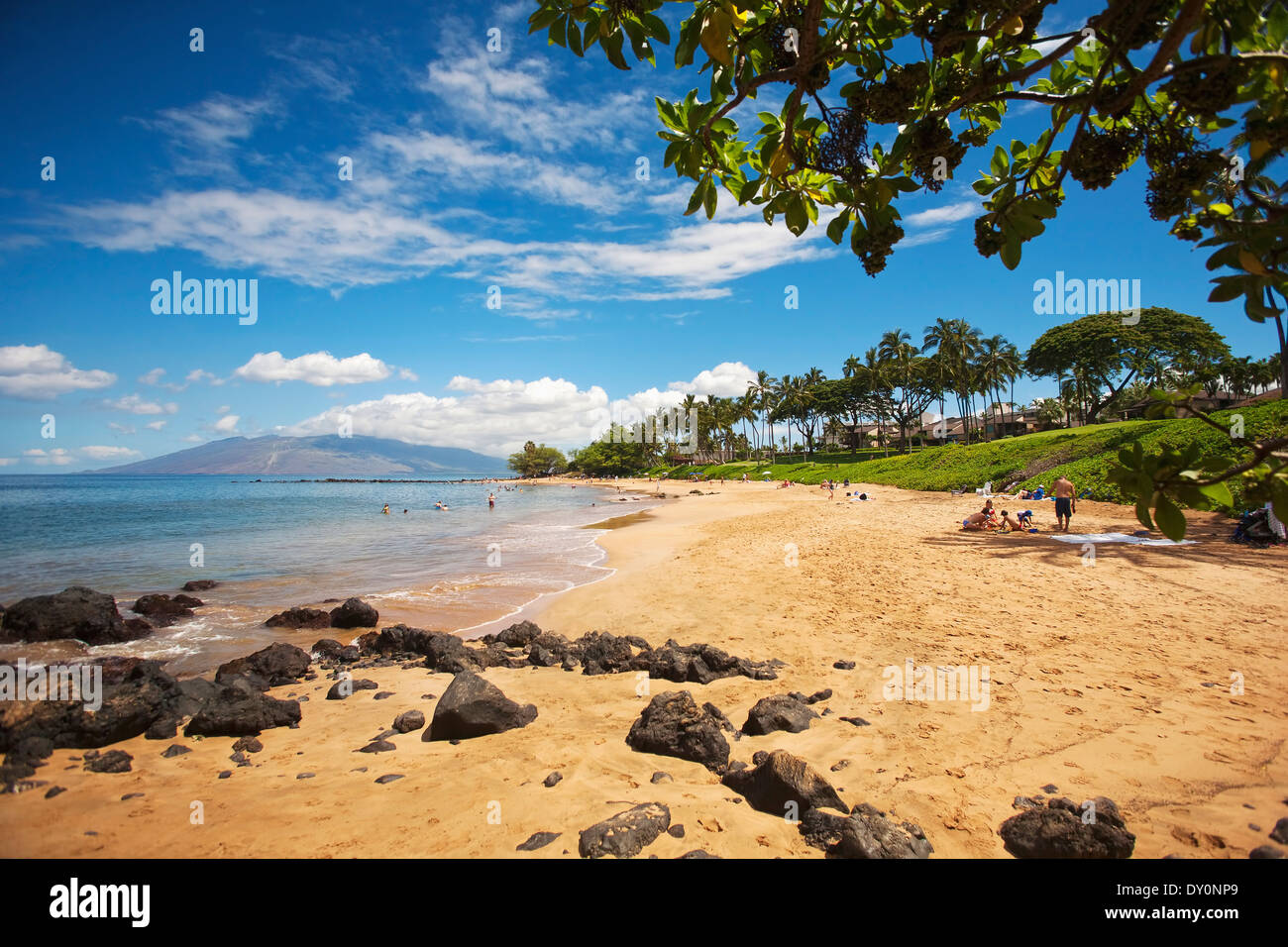 Ulua Stock Photos & Ulua Stock Images - Alamy