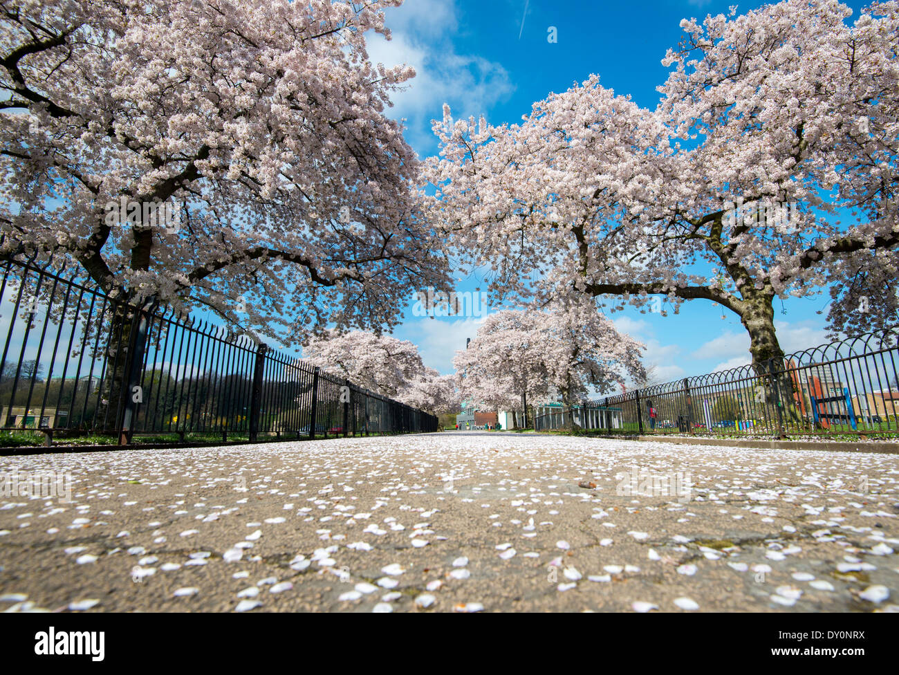 Highfield campus hi-res stock photography and images - Alamy
