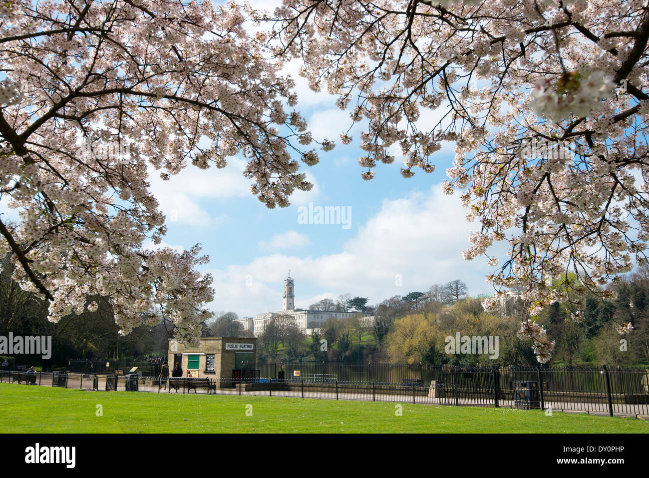 Spring blossom at Highfields University Park, Nottingham England UK ...