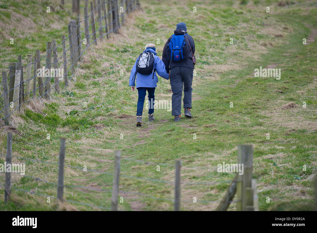 A couple 2 two people holding hands as they walk uphill in a grassy ...