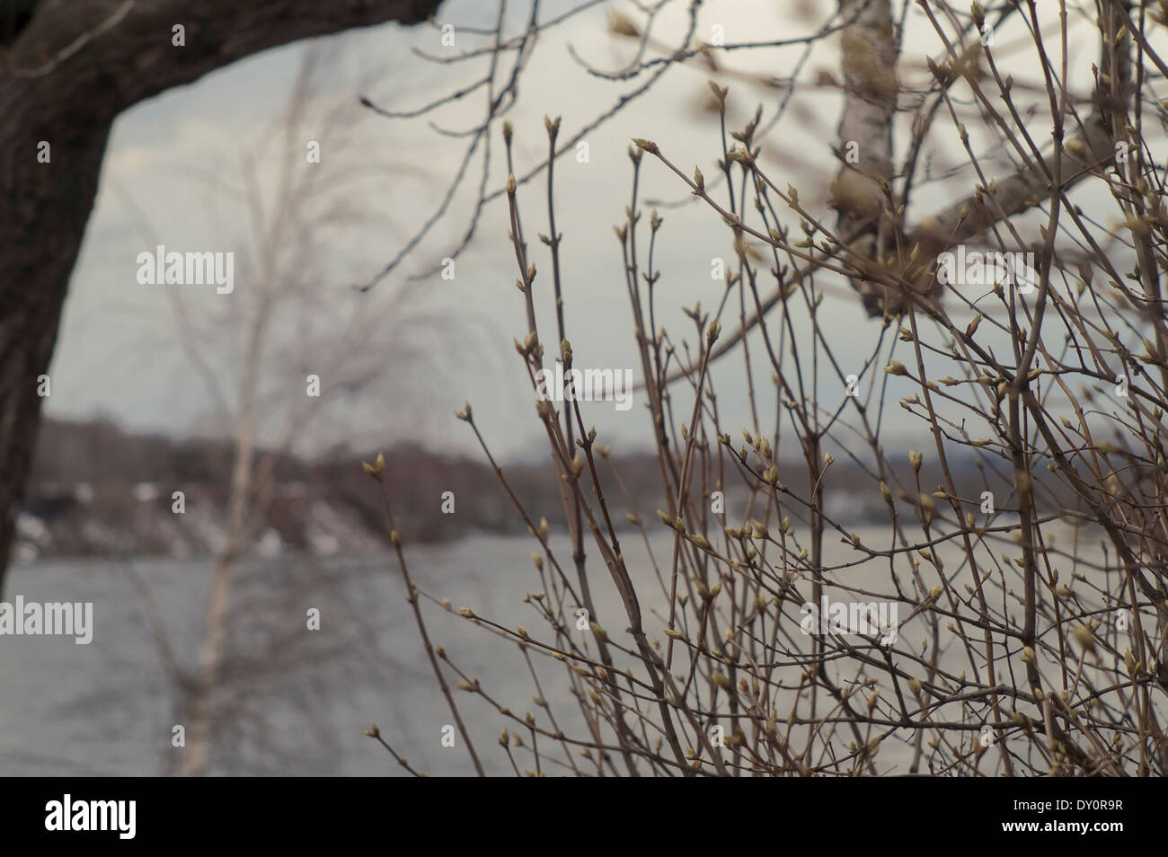 Cold windy rainy hi-res stock photography and images - Alamy