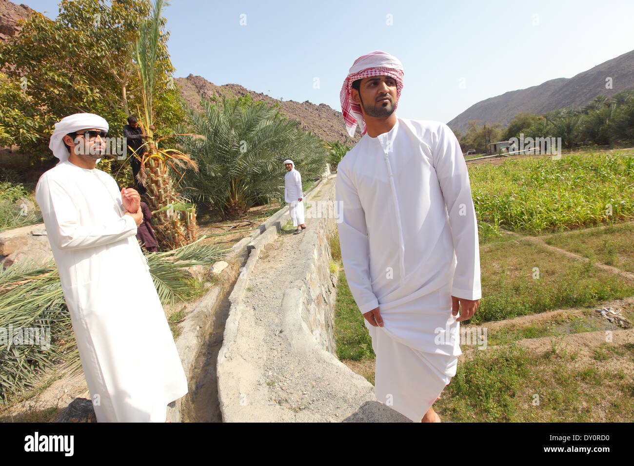 Harrah, village, farm, farming, Ras al-Khaimah, United Arab Emirates ...