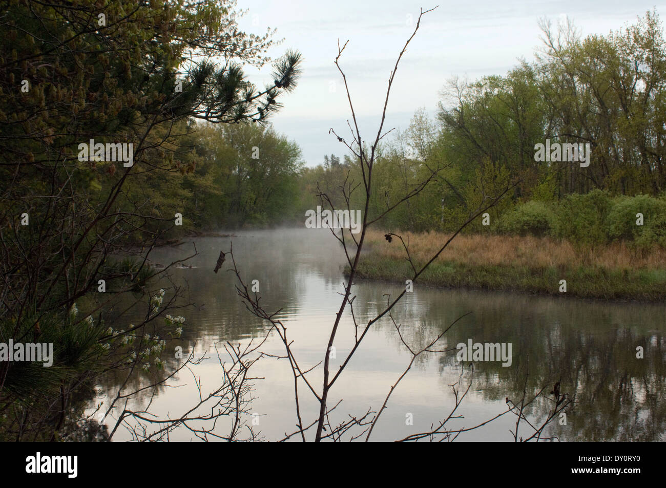 The wolf river hi-res stock photography and images - Alamy