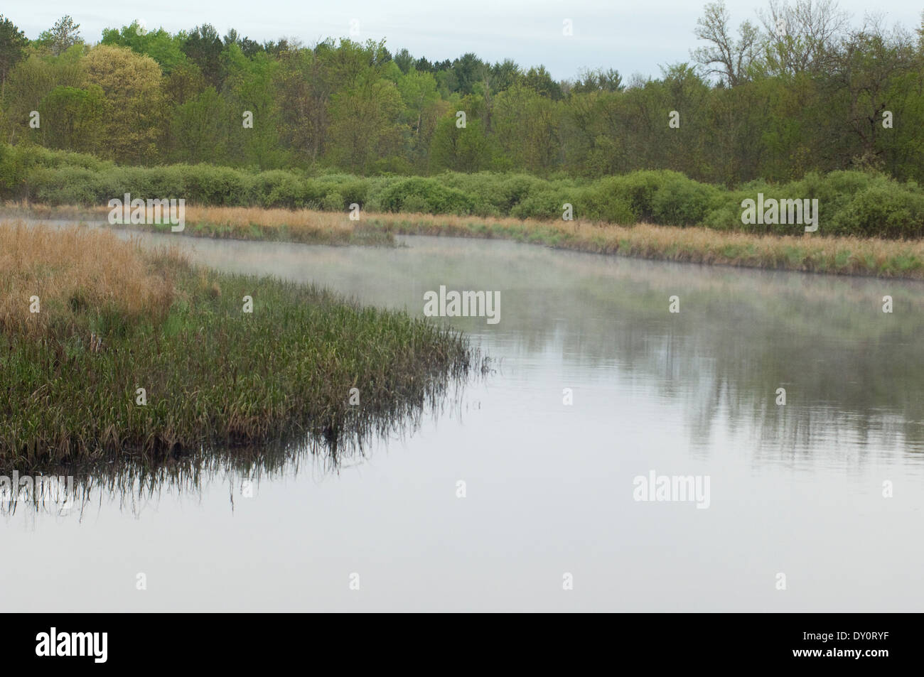 Wolf River, northern Wisconsin. Digital photograph Stock Photo - Alamy
