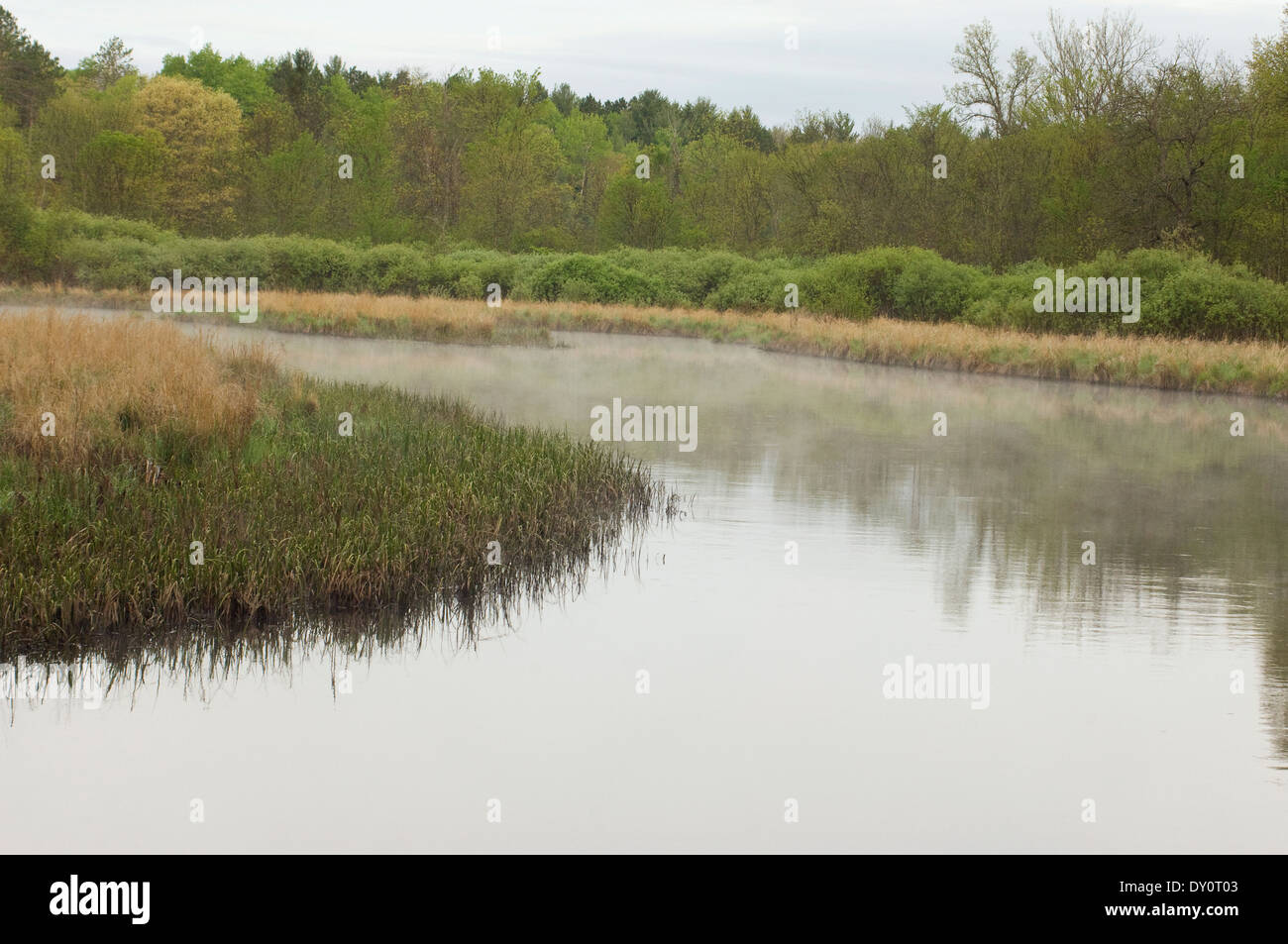 River of the wolf hi-res stock photography and images - Alamy