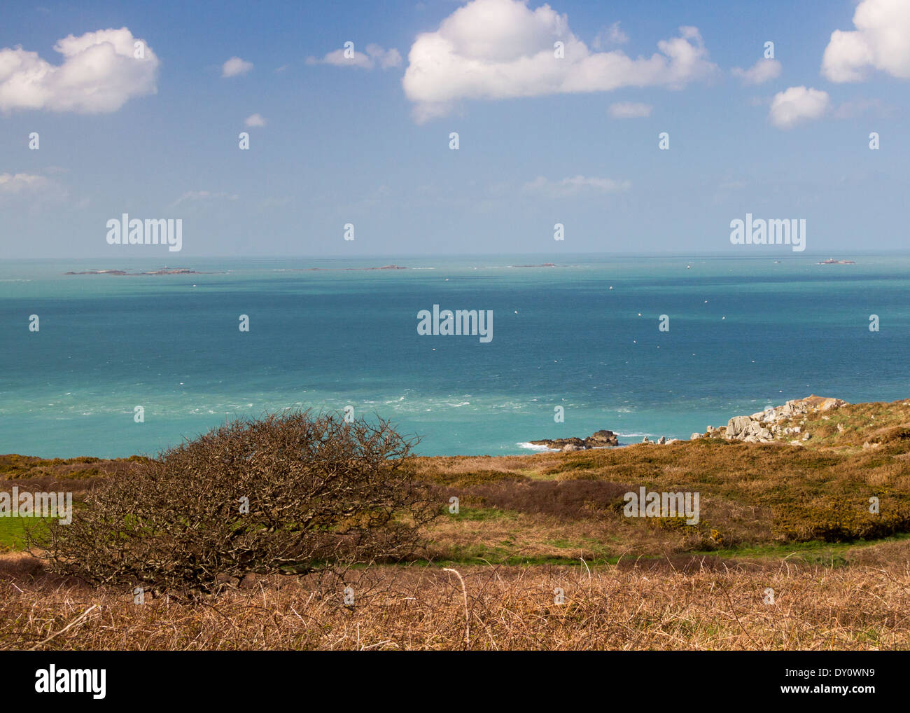 Coastal scene on Sark looking out over the English Channel Stock Photo ...