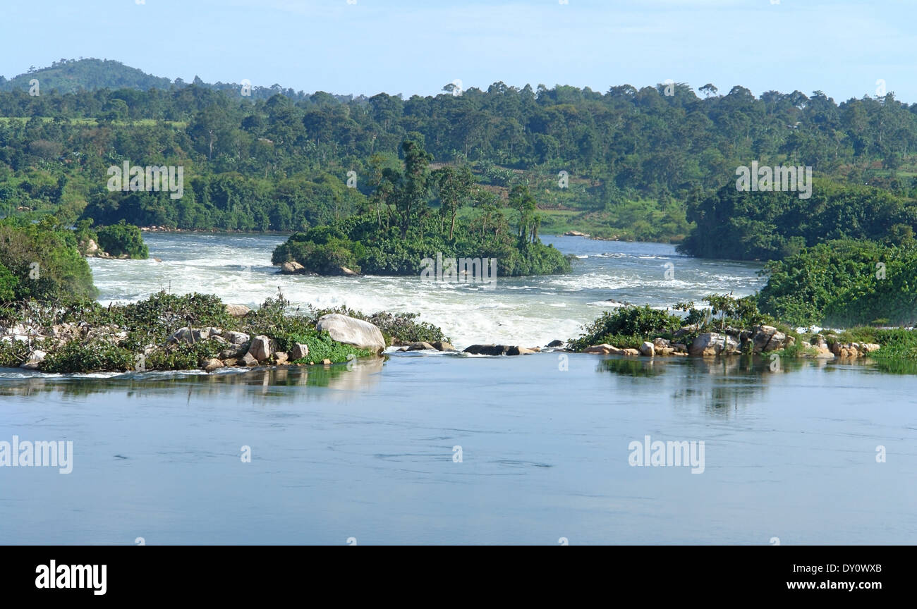 waterside scenery showing the River Nile near Jinja in Uganda (Africa ...