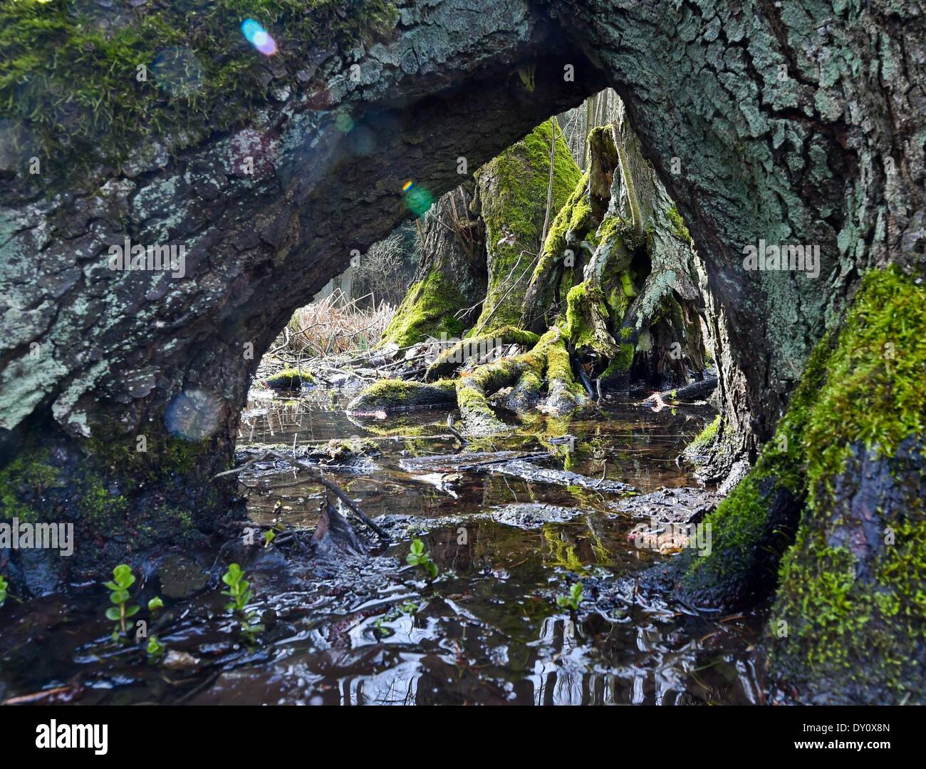 Treplin hi-res stock photography and images - Alamy