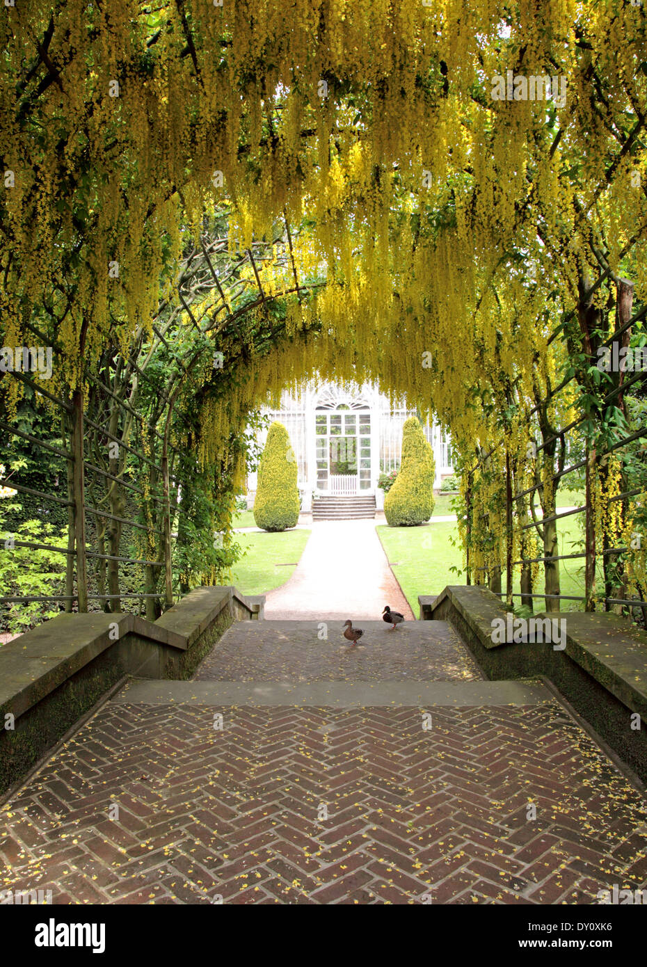 Victorian spring flower hi-res stock photography and images - Alamy