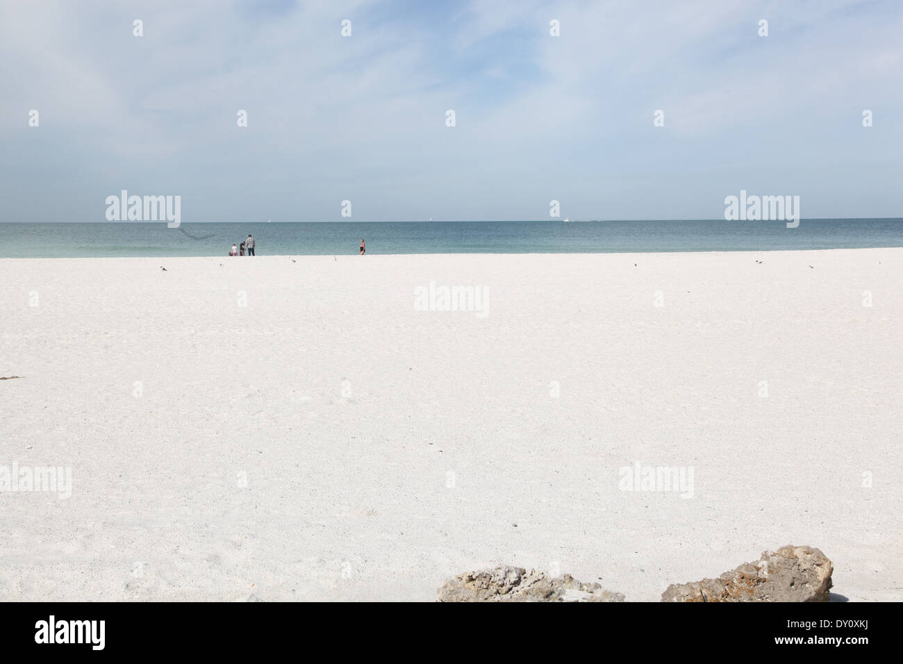 White sandy beaches in Sarasota Florida Stock Photo - Alamy