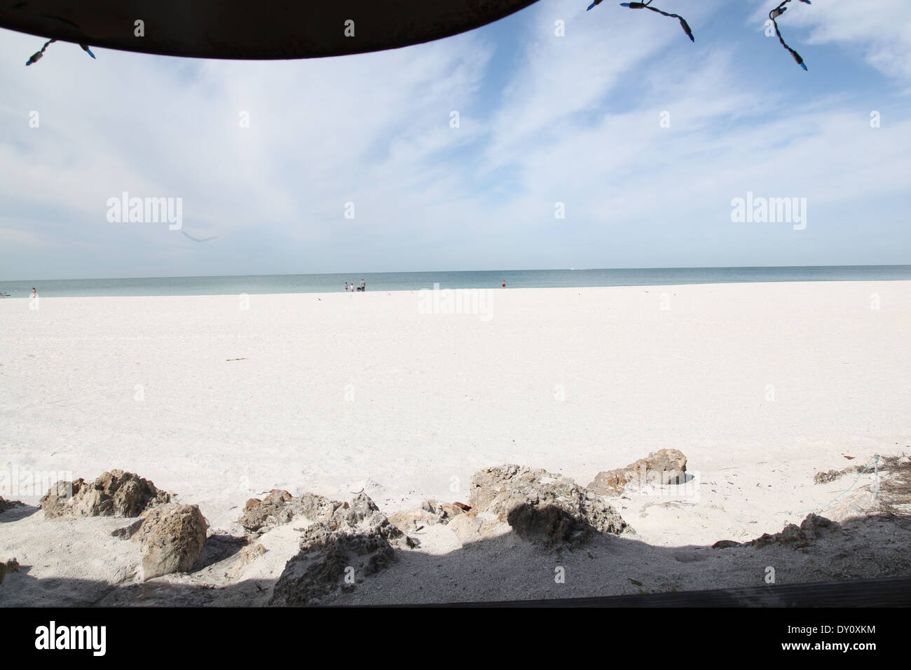 White sandy beaches in Sarasota Florida Stock Photo - Alamy