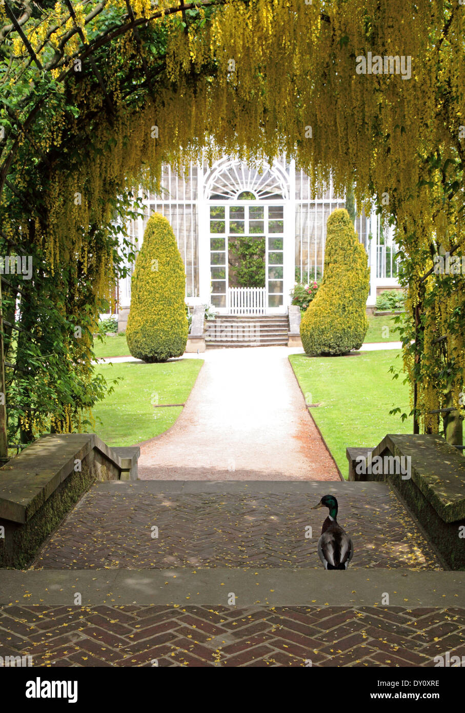 Victorian arch archway hi-res stock photography and images - Alamy