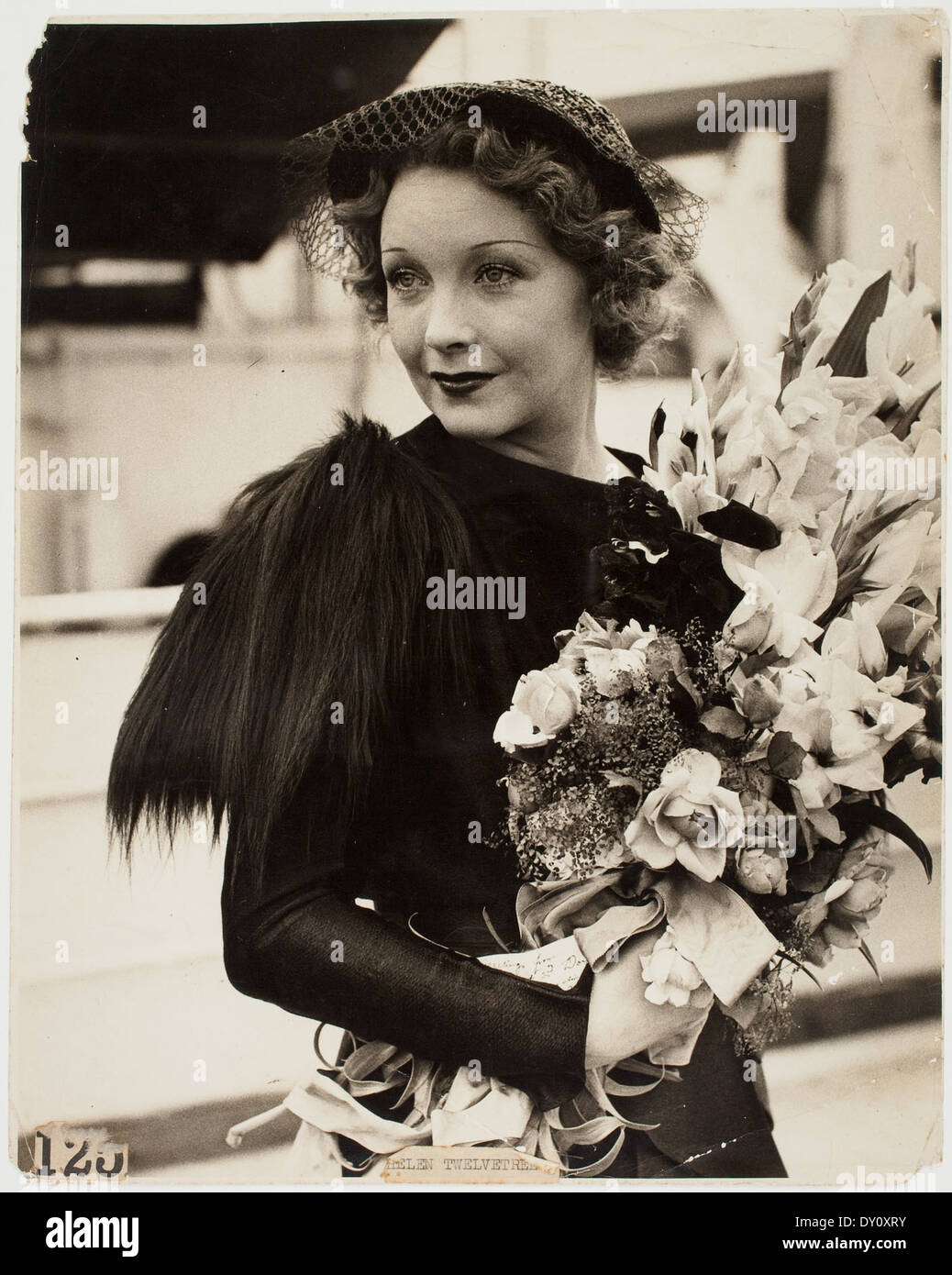 Helen Twelvetrees, an American actress, arrives in Sydney in 1935 to ...