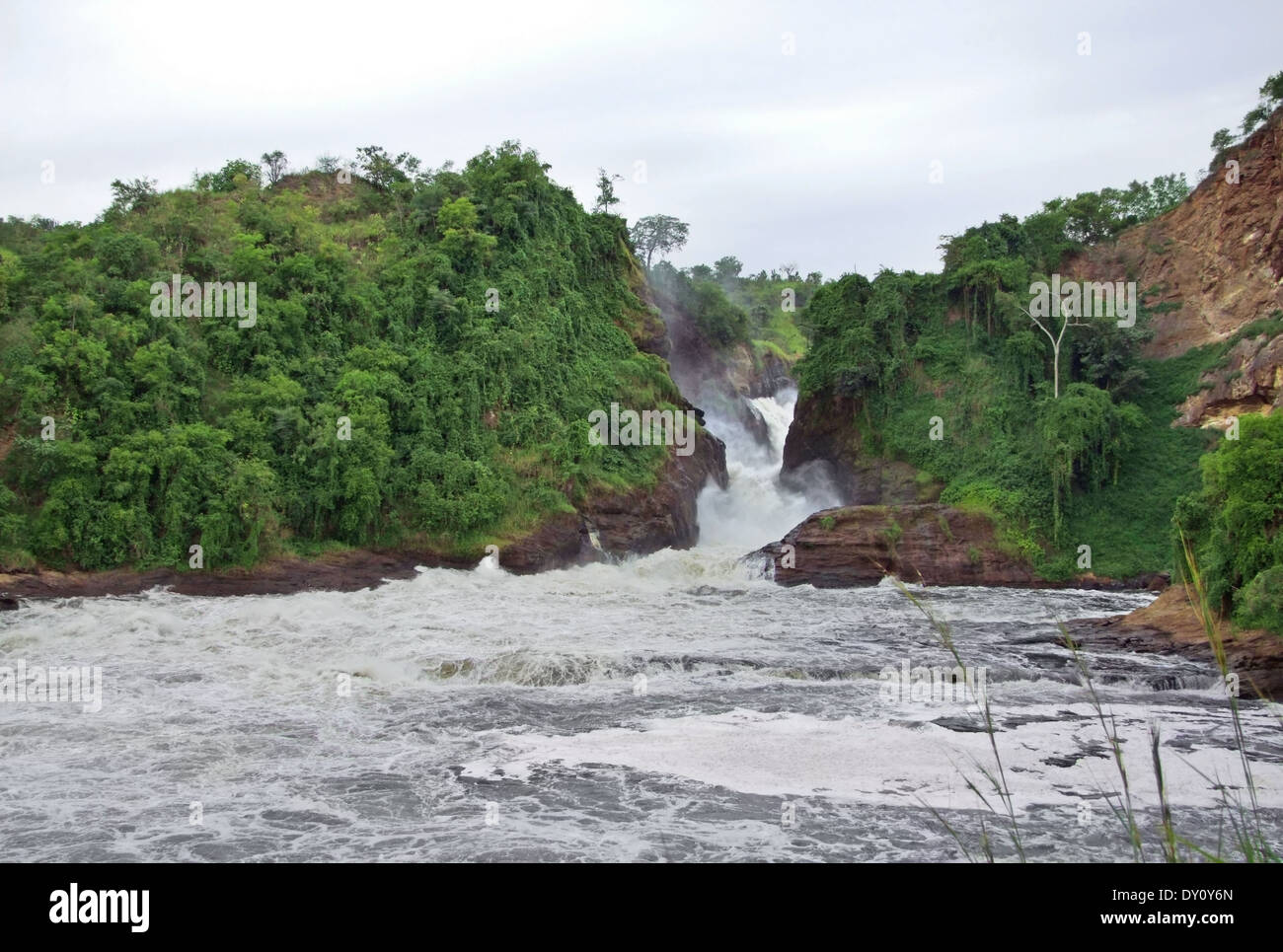 raging torrent at the Murchison Falls in Uganda (Africa Stock Photo - Alamy
