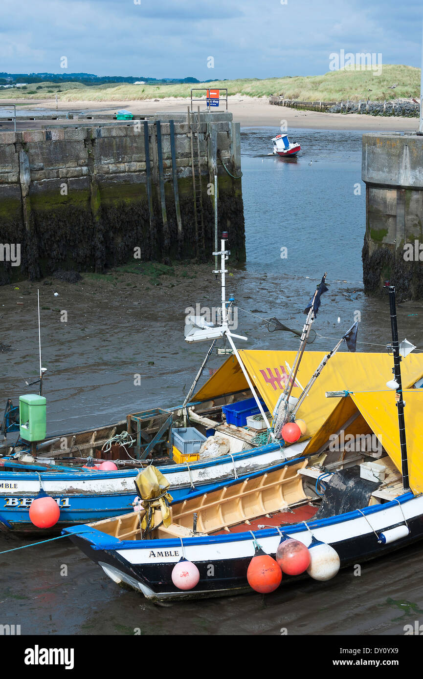 Inshore Fishing Cobles in Safety of Harbour at Amble near Warkworth ...