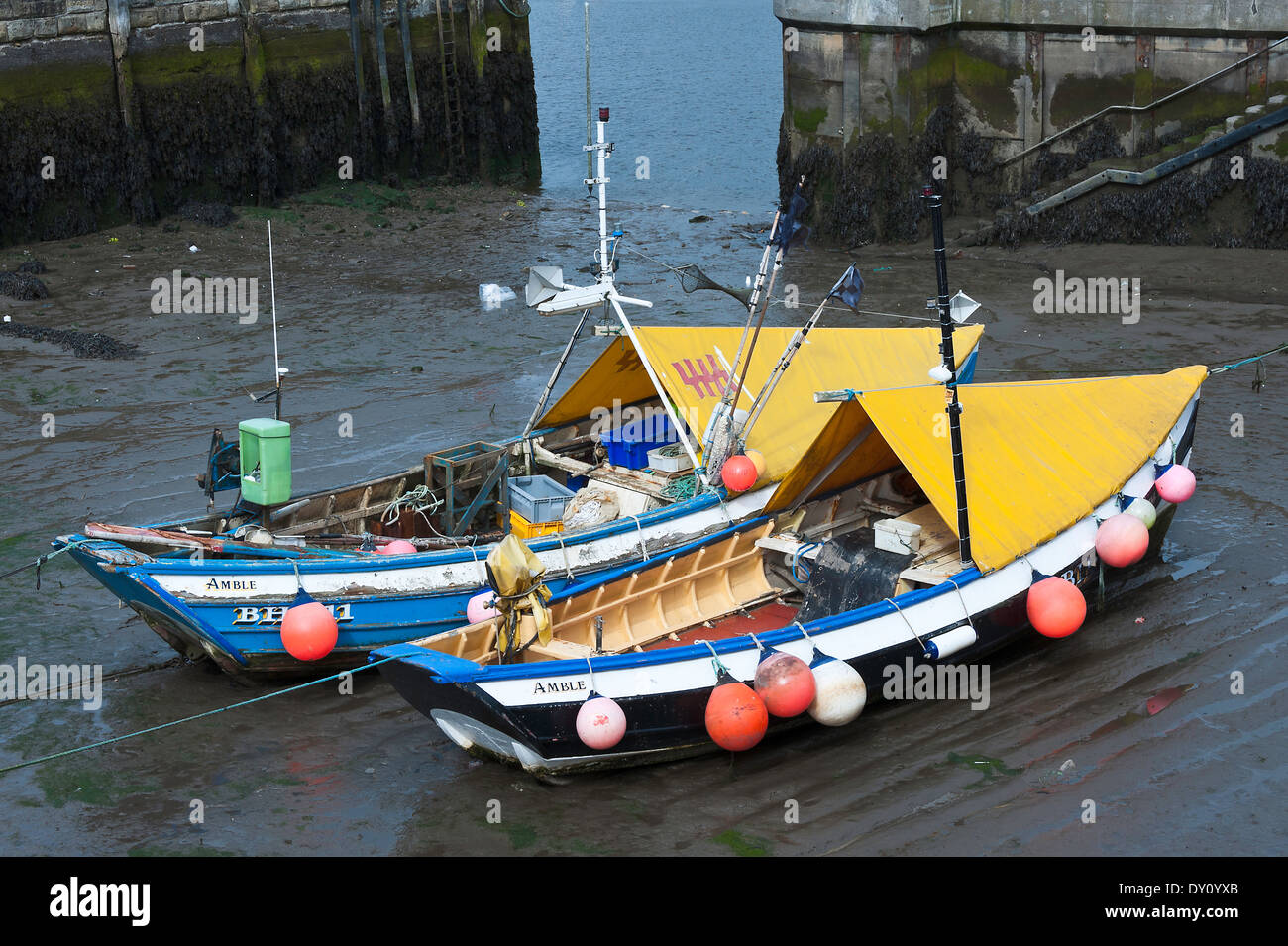 Inshore Fishing Cobles in Safety of Harbour at Amble near Warkworth ...