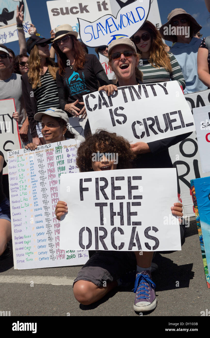 Seaworld orca protest hi-res stock photography and images - Alamy