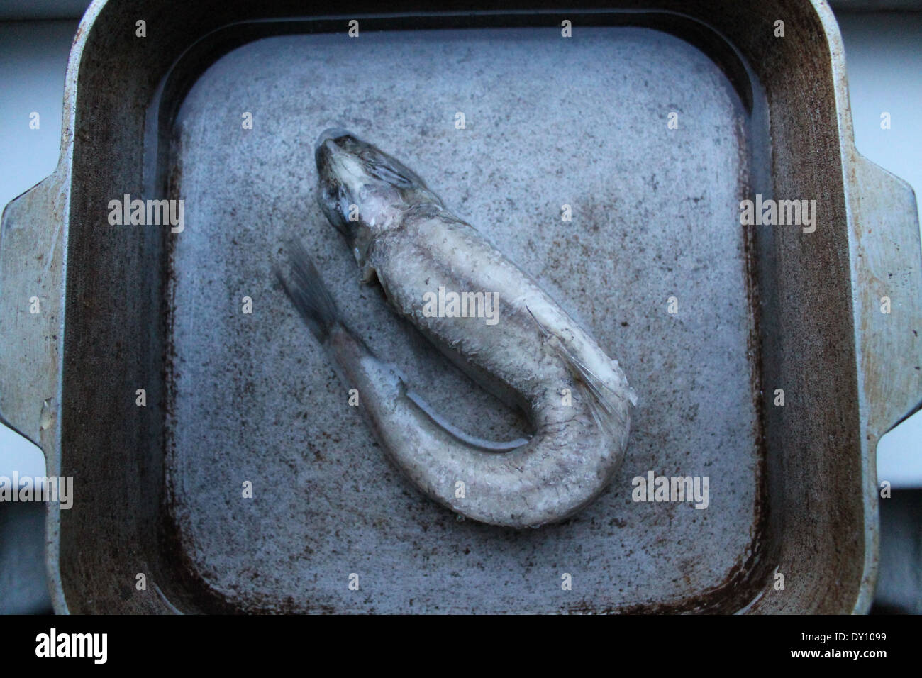 Silver raw cube hi-res stock photography and images - Alamy