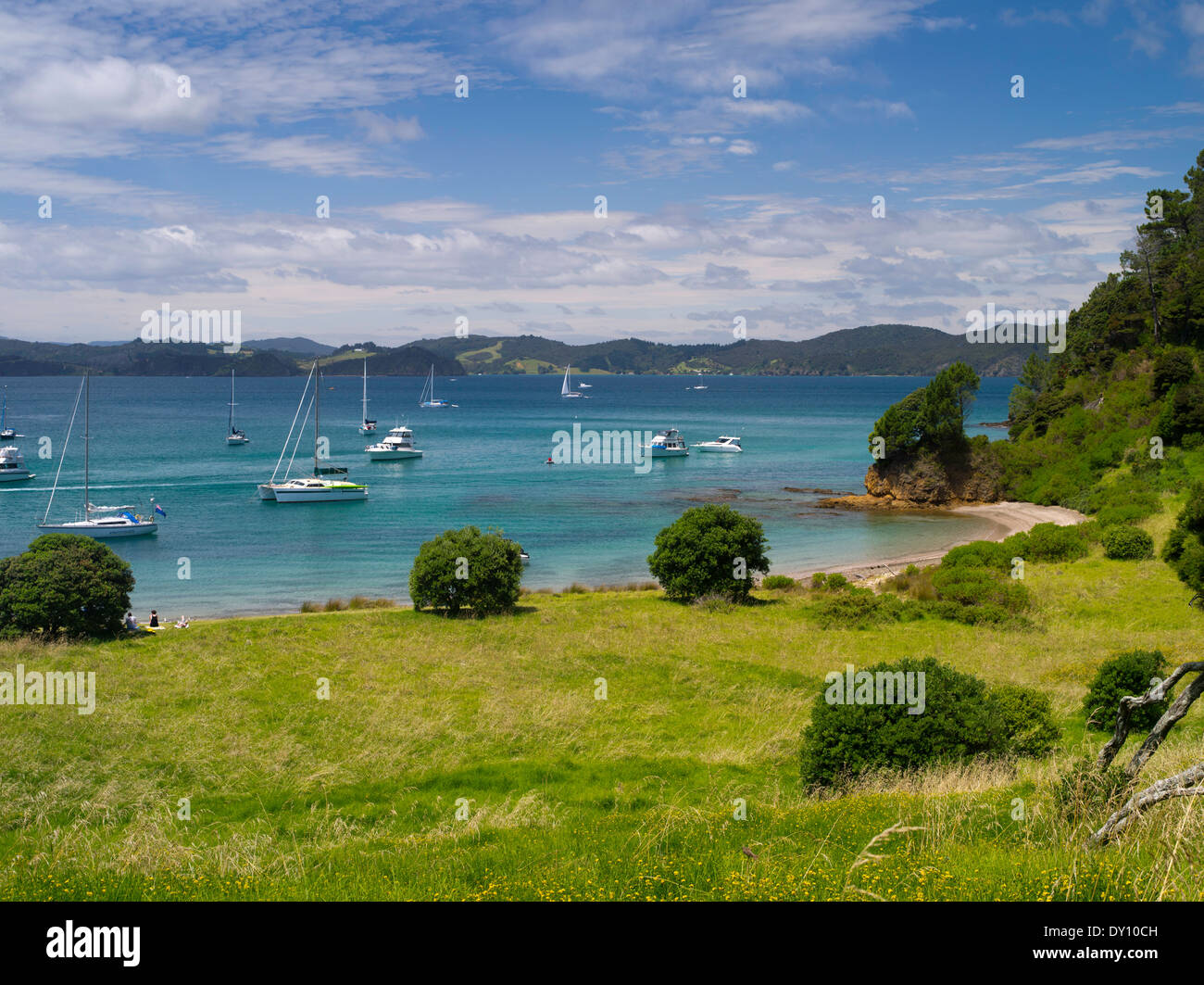 Roberton island new zealand hi-res stock photography and images - Alamy