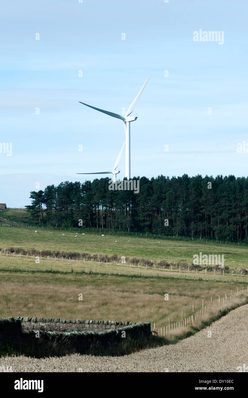 Wind farm Windmills Generating Electricty at Wandylaw by Farmland near ...