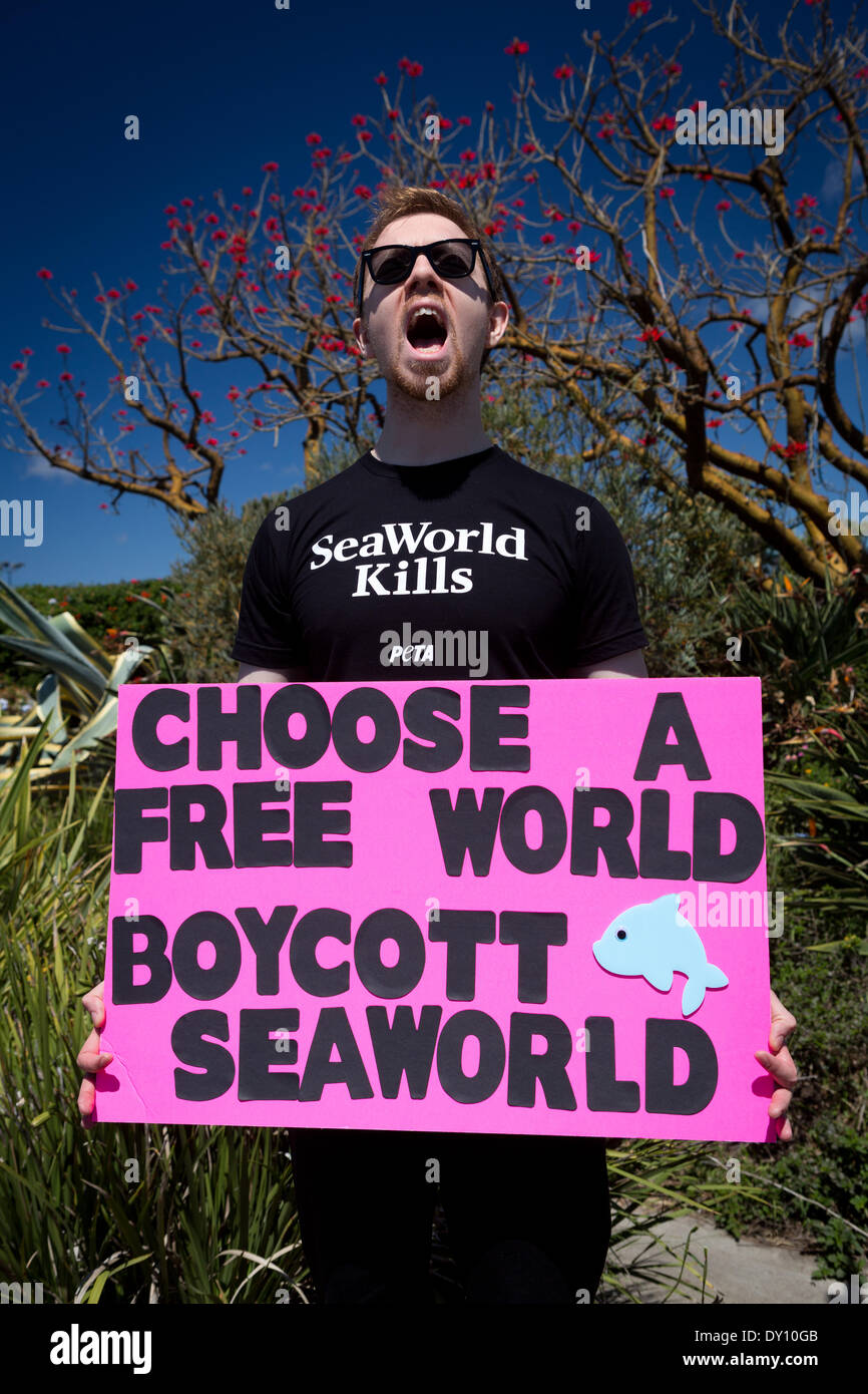 Demonstrator at the Sea World drive protesting against holding Orcas in ...