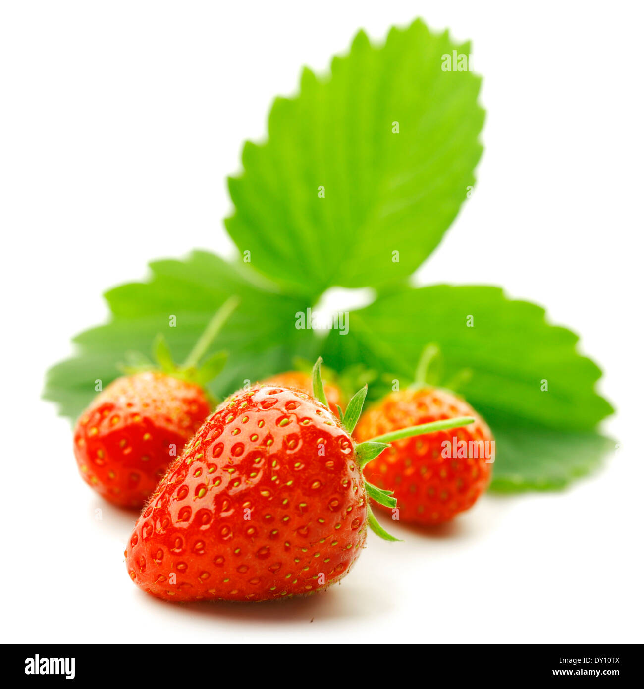 Strawberry with leaves isolated on white background Stock Photo - Alamy