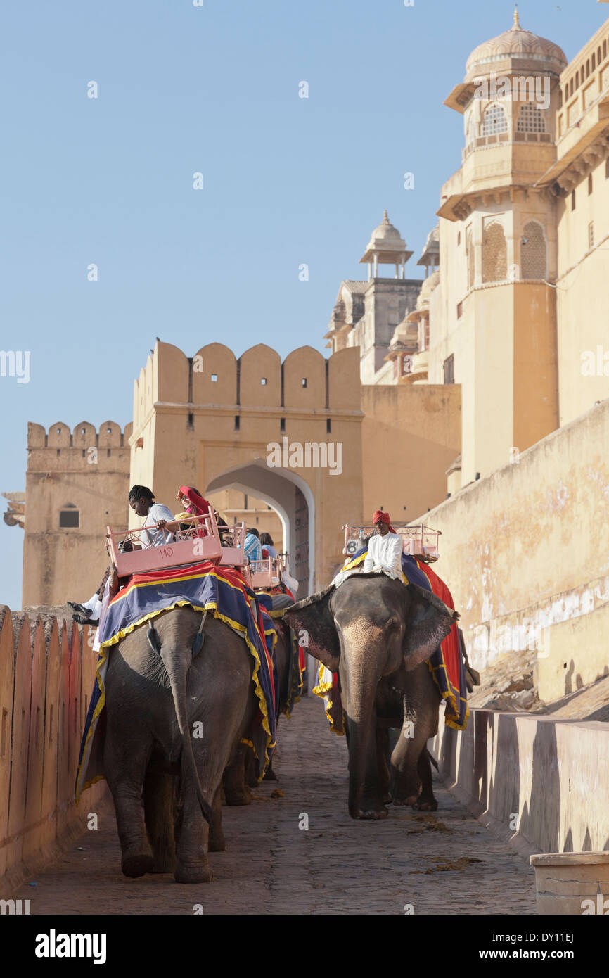 Amber, Rajasthan, India, Elephant rides at Amber Fort-Palace Stock ...