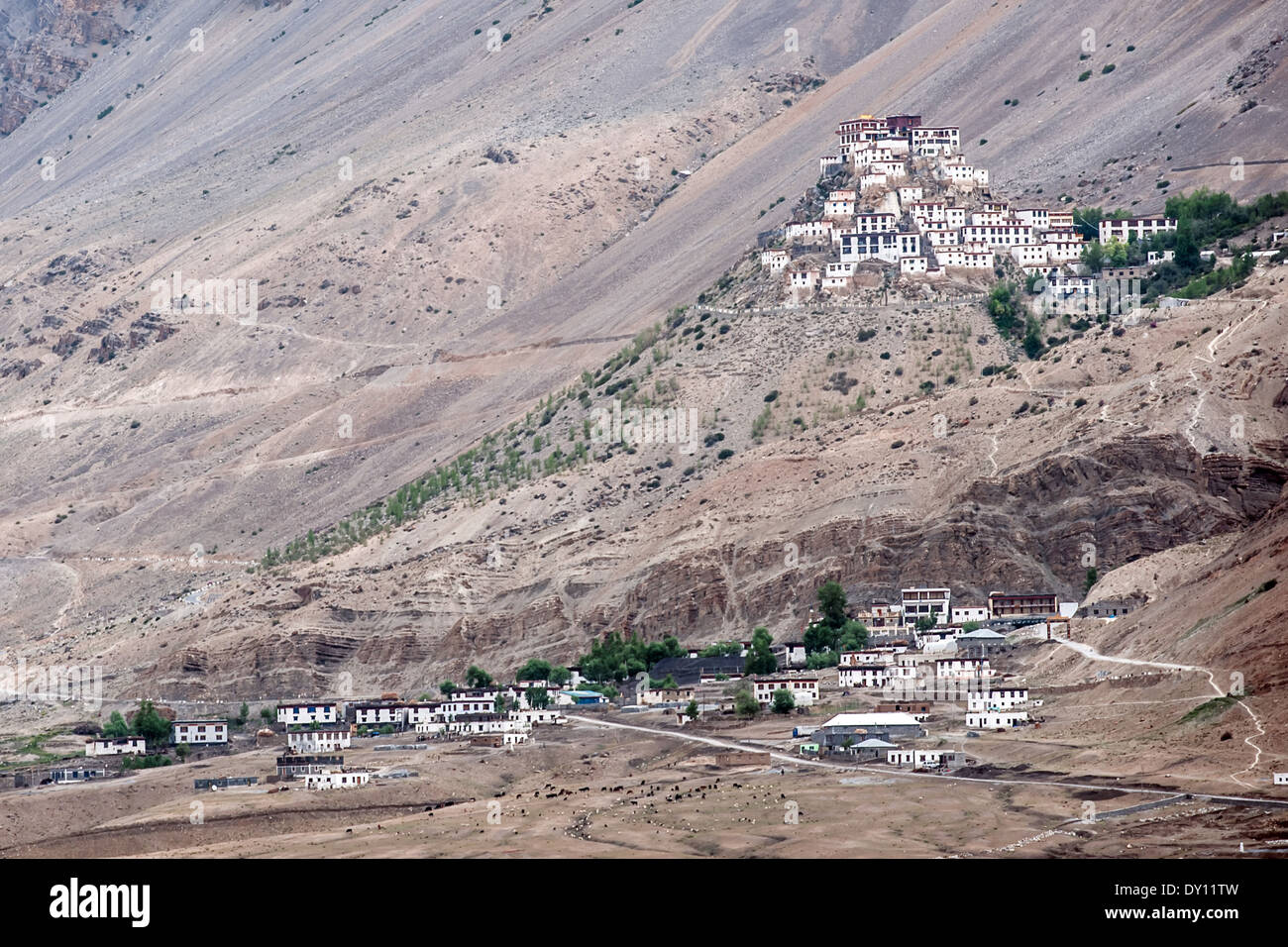 Kee monastery in himalayas mountain Stock Photo - Alamy