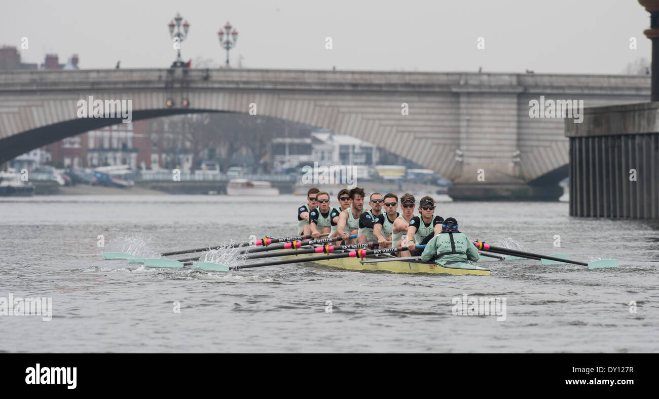 Cambridge university boat club blue boat hi-res stock photography and ...