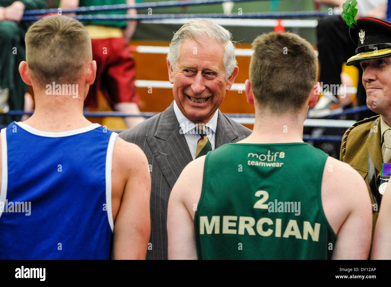 English boxers hi-res stock photography and images - Alamy