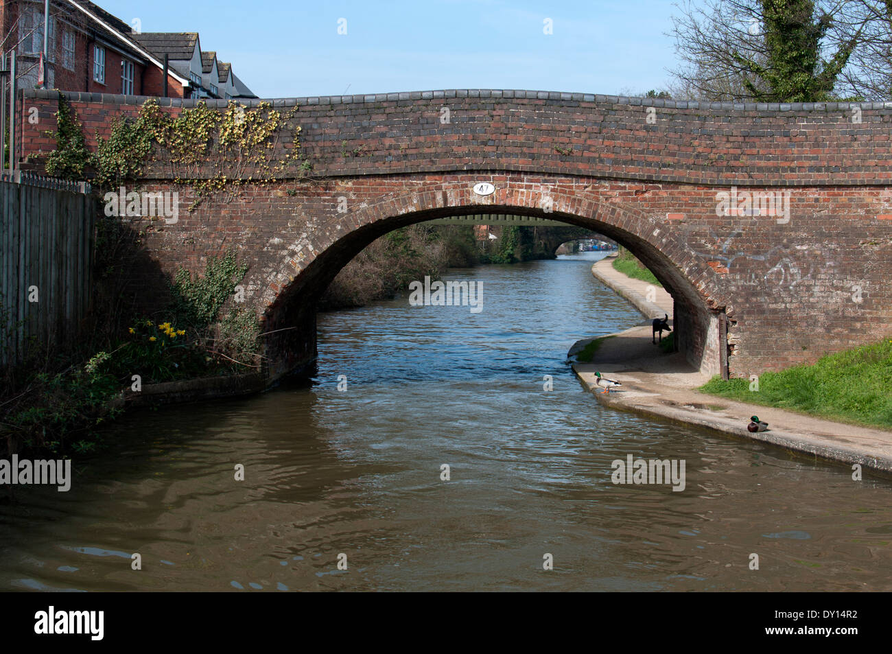 All Saints Road Bridge, Grand Union Canal, Warwick, UK Stock Photo - Alamy