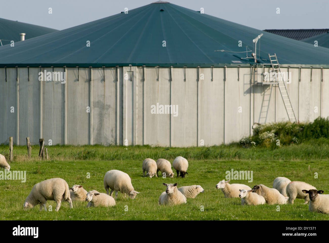 GERMANY Biogas plant at Pellworm Northsea island Stock Photo - Alamy