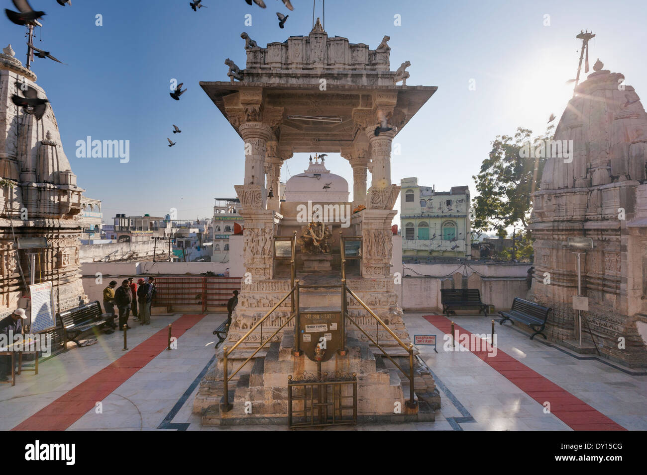 Hindu temple with pigeons hi-res stock photography and images - Alamy