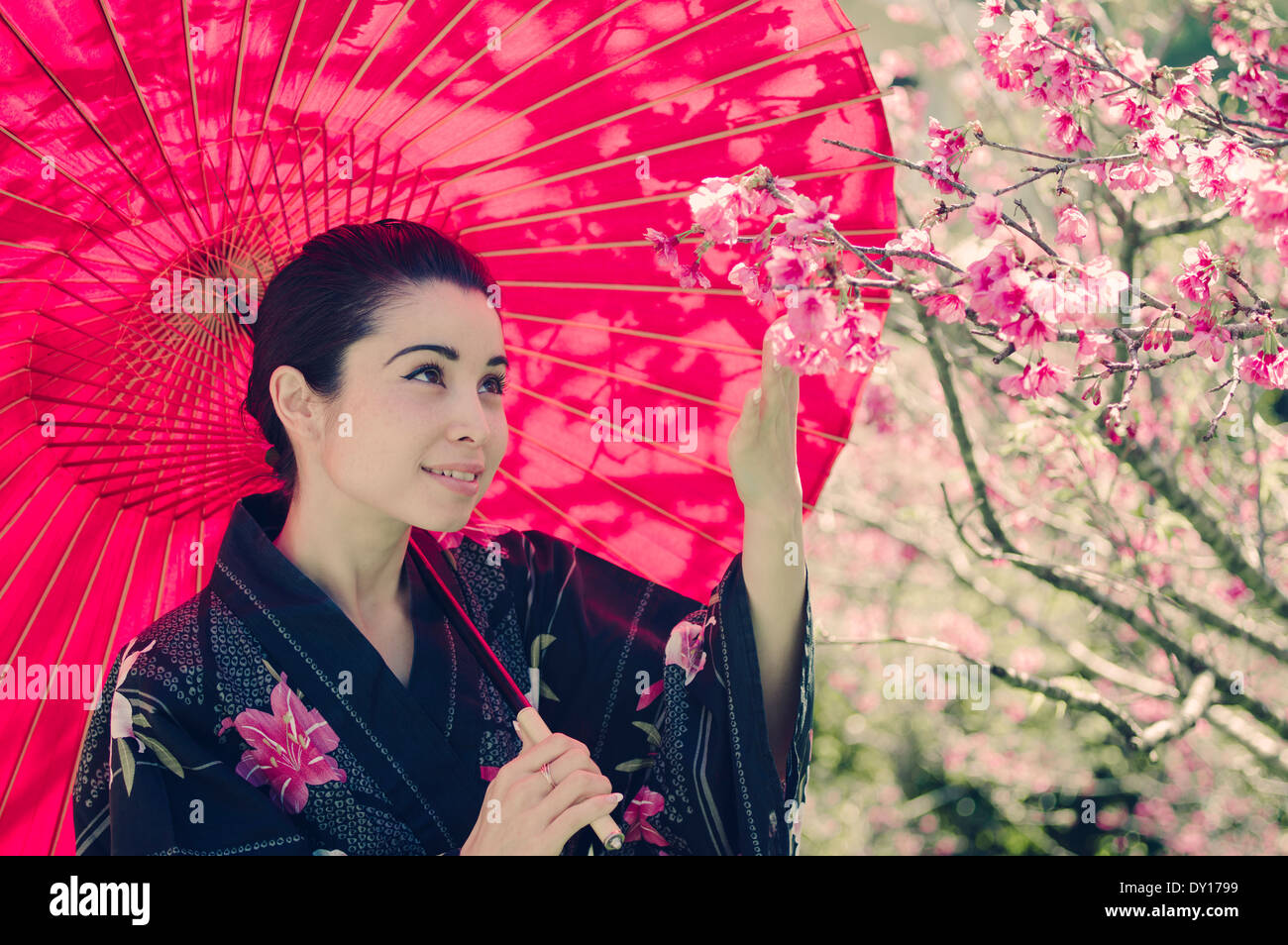 Sakura japan japanese hanami hi-res stock photography and images - Alamy
