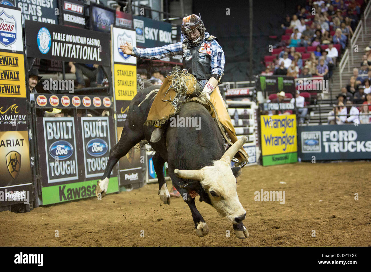 Zprofessionalbullriding hi-res stock photography and images - Alamy