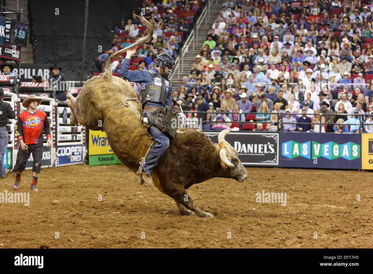 Zprofessionalbullriding hi-res stock photography and images - Alamy