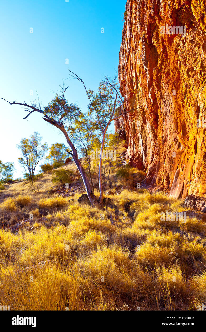 Glen Helen Gorge outback landscape water hole landscapes Northern ...