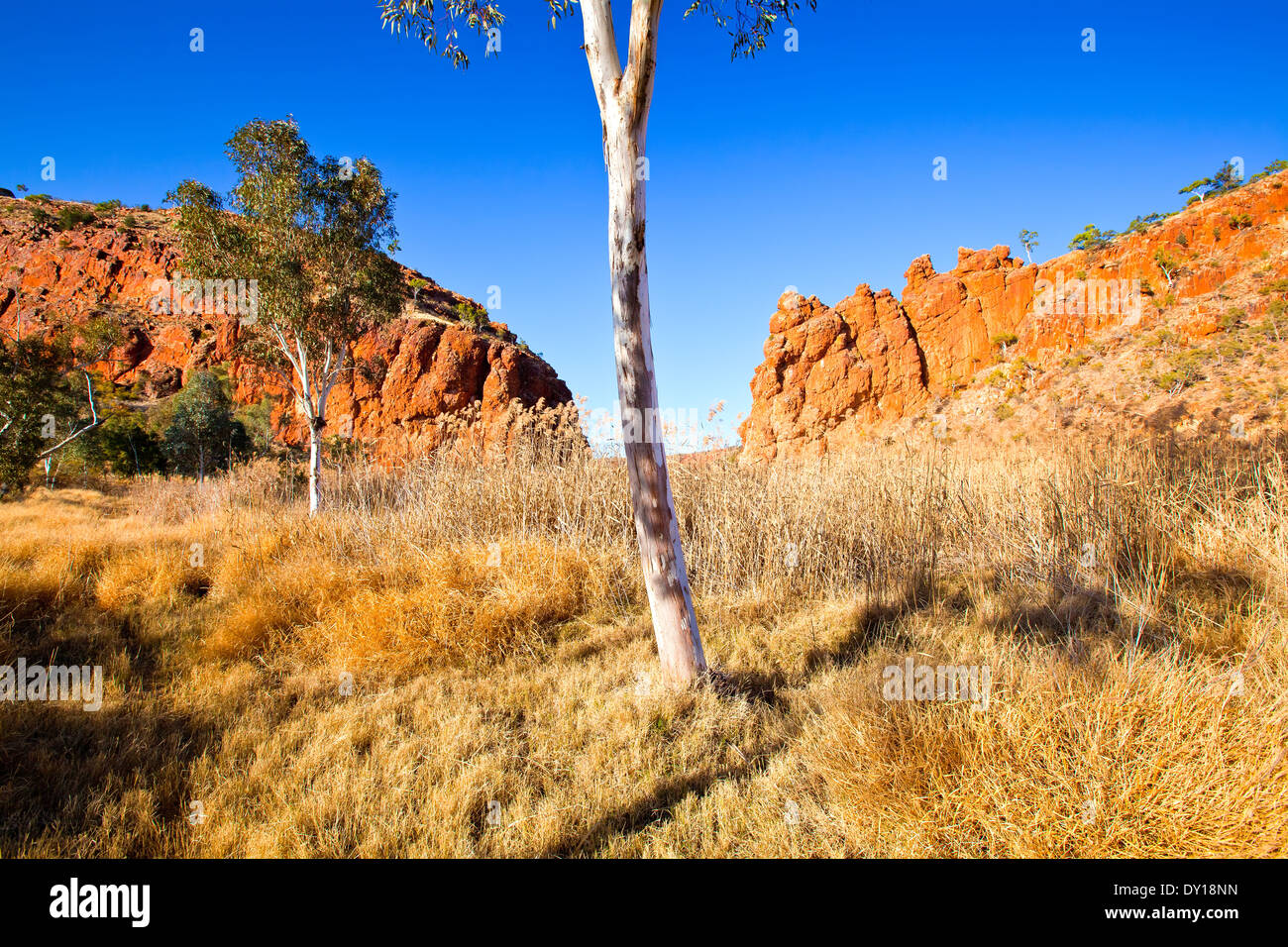 Glen Helen Gorge outback landscape water hole landscapes Northern ...
