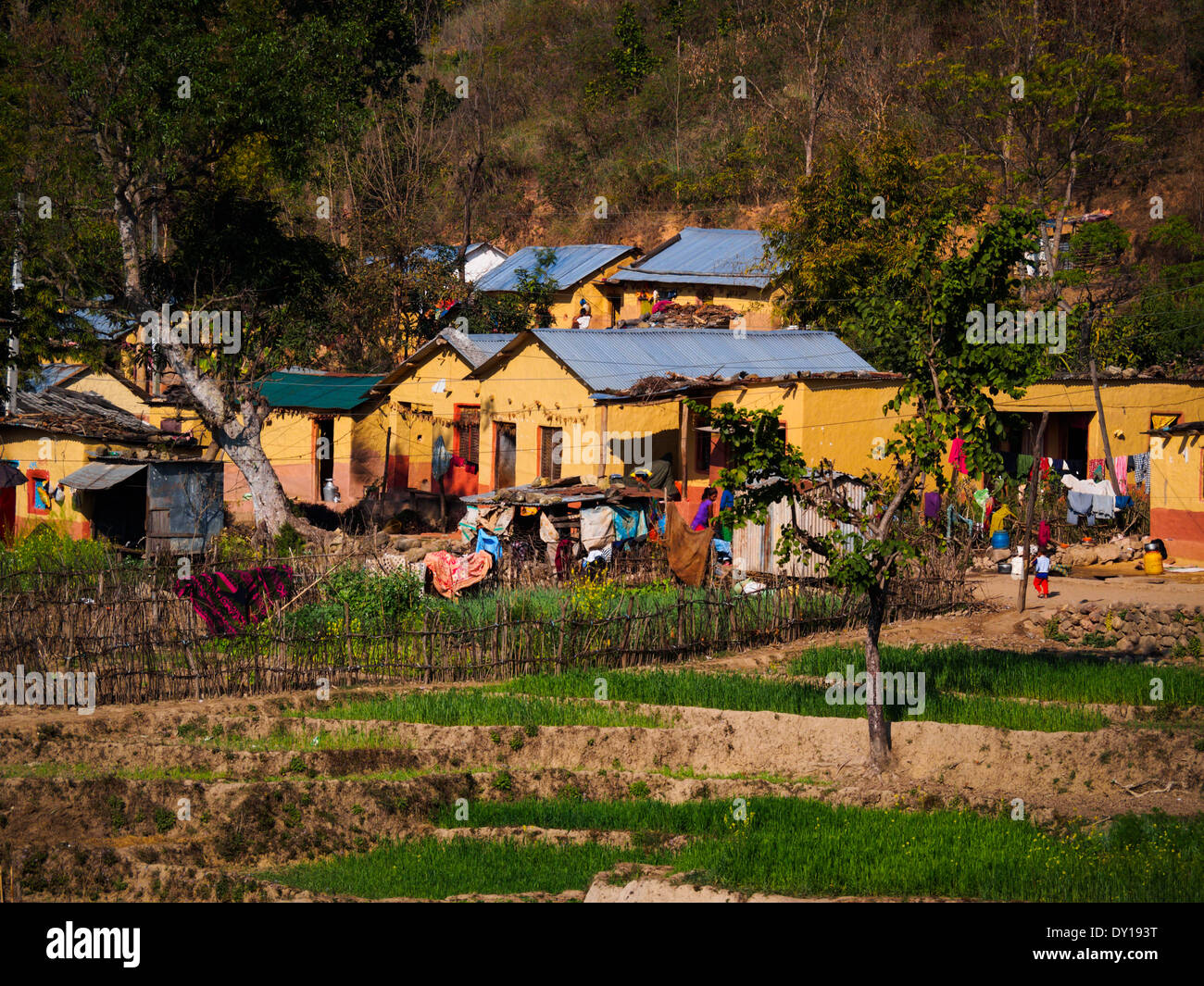 Village on edge of Birendranagar, Surkhet, Nepal Stock Photo - Alamy