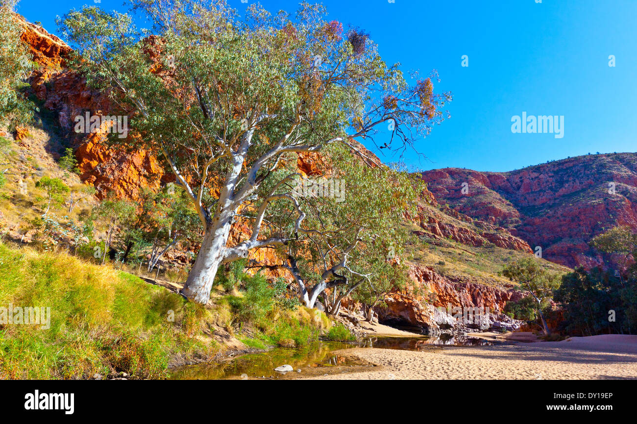 Ormiston Gorge outback landscape water hole reflections landscapes ...