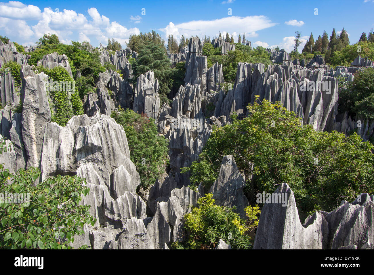 limestone Stone forest a UNESCO World Heritage Sites, Kunming Yunnan ...