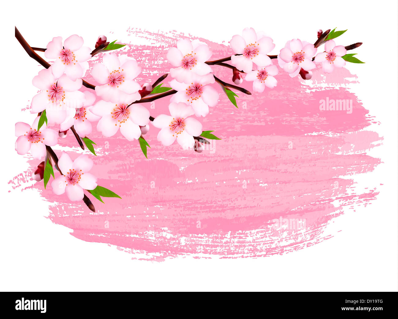 Pink paint sakura branch banner. Vector Stock Photo - Alamy