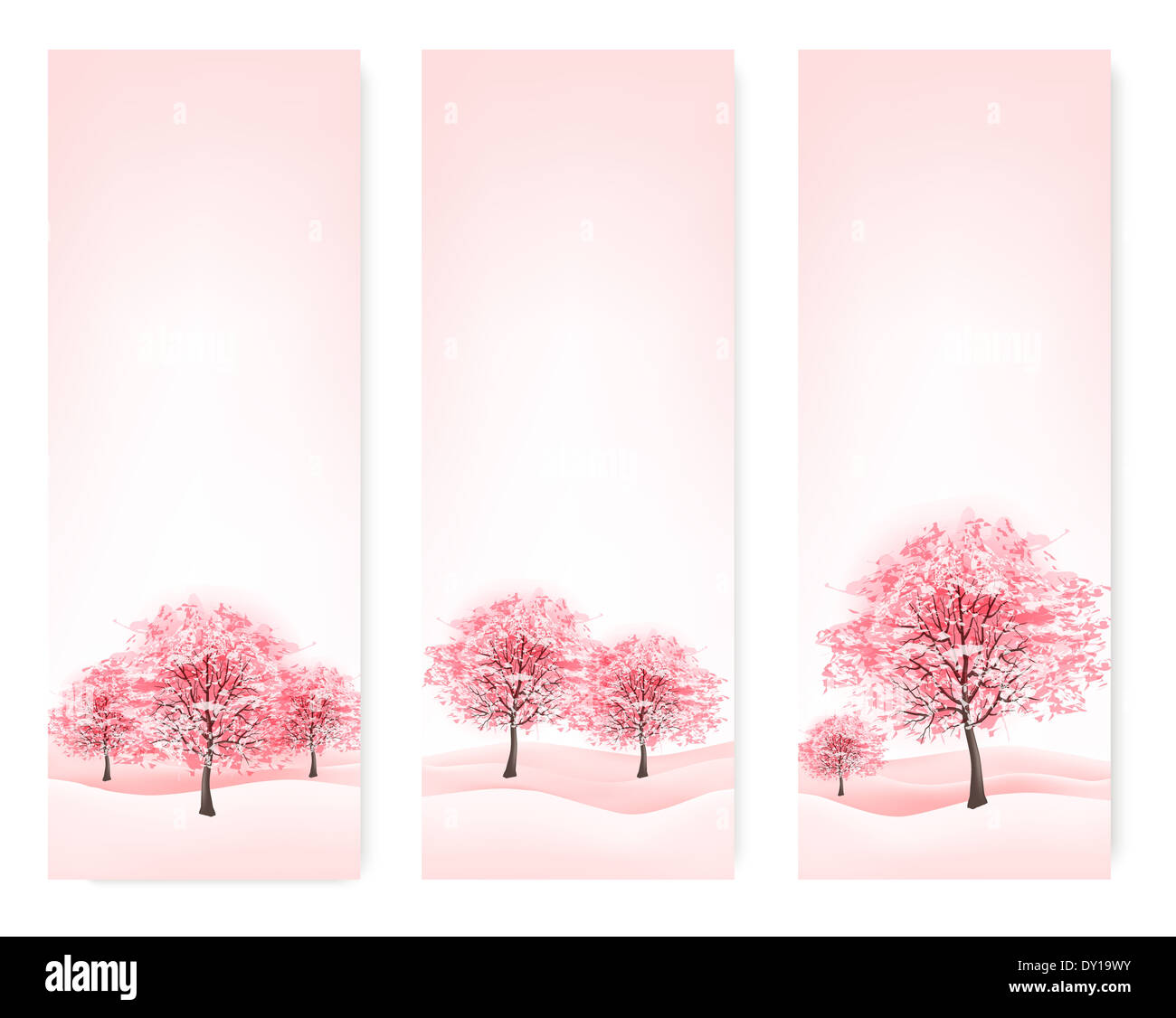Three spring banners with blossoming sakura trees. Vector Stock Photo ...