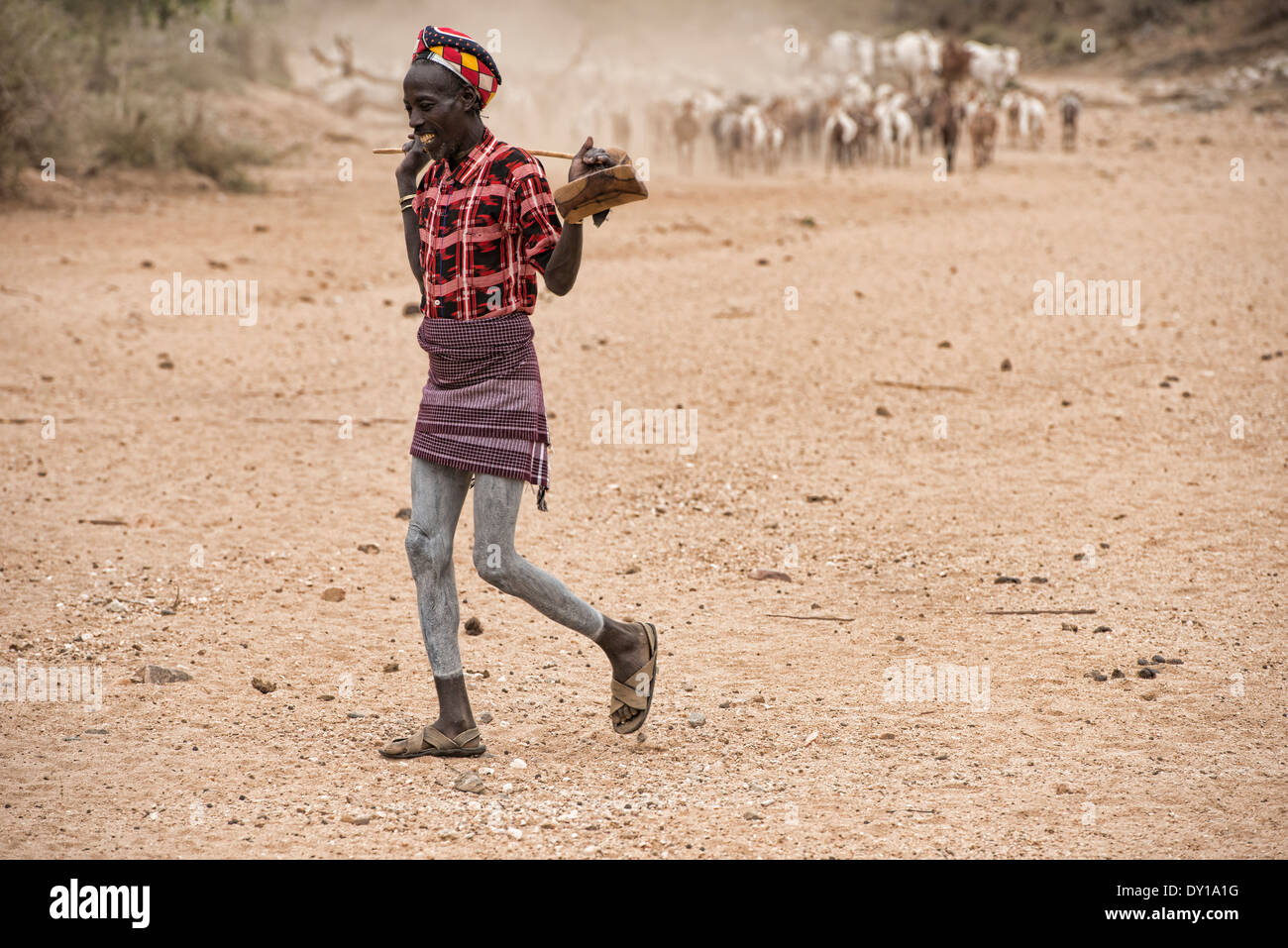 Hamer man safeguarding his goats near Turmi in the Omo Valley, Ethiopia ...