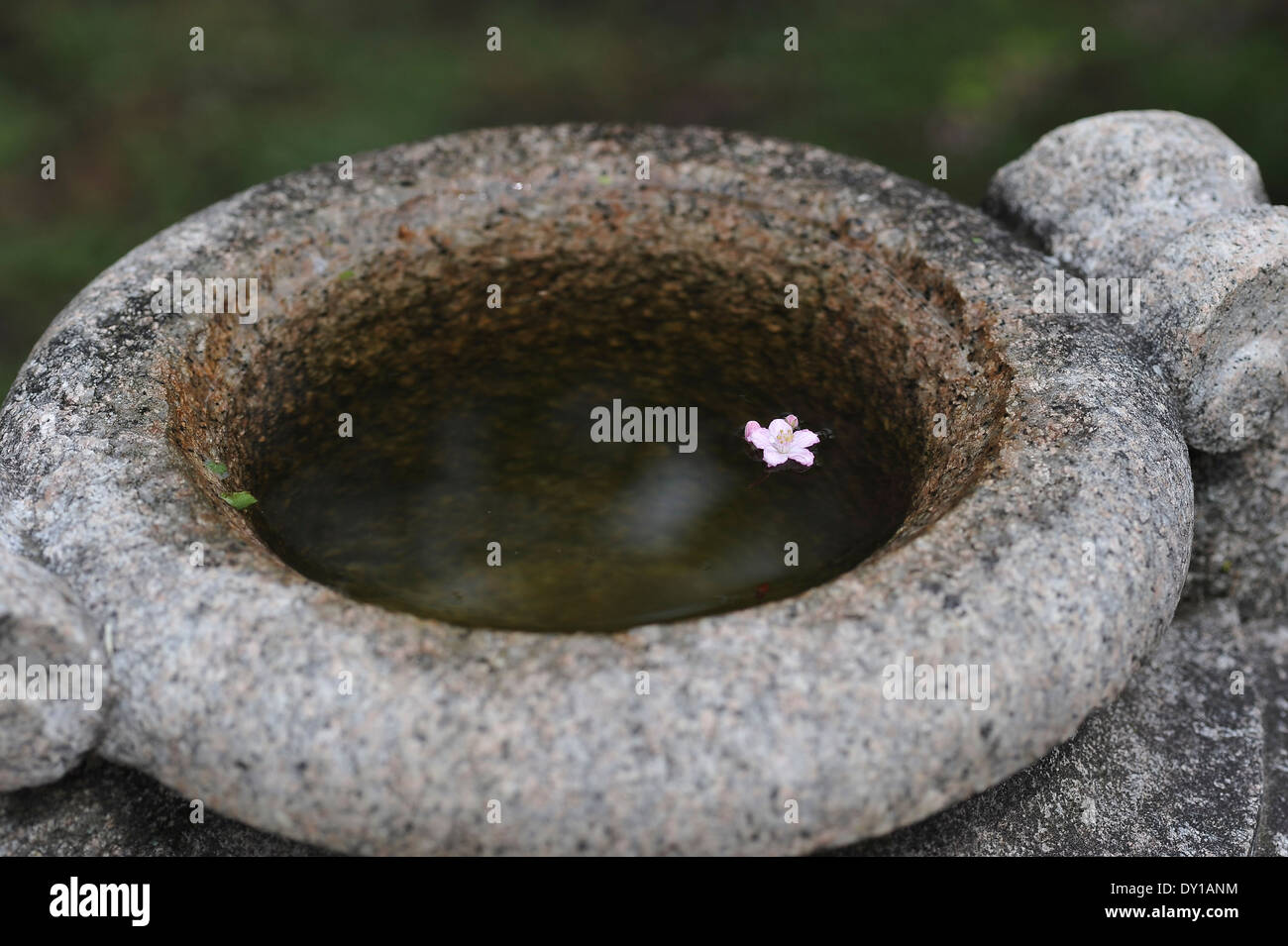 Ancient water trough hi-res stock photography and images - Alamy
