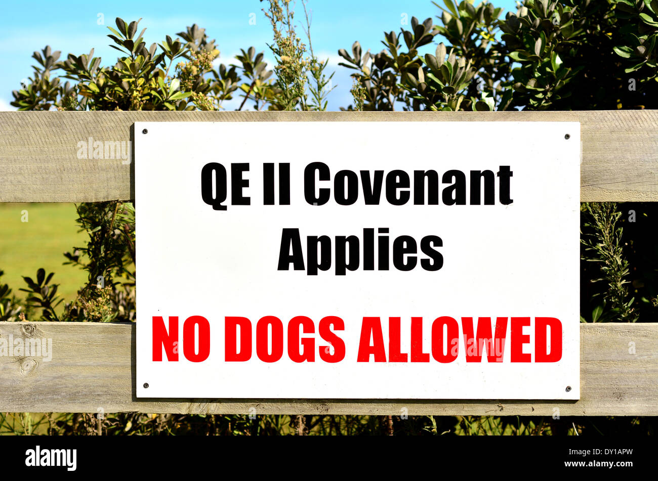 Queen Elizabeth Land High Resolution Stock Photography and Images - Alamy