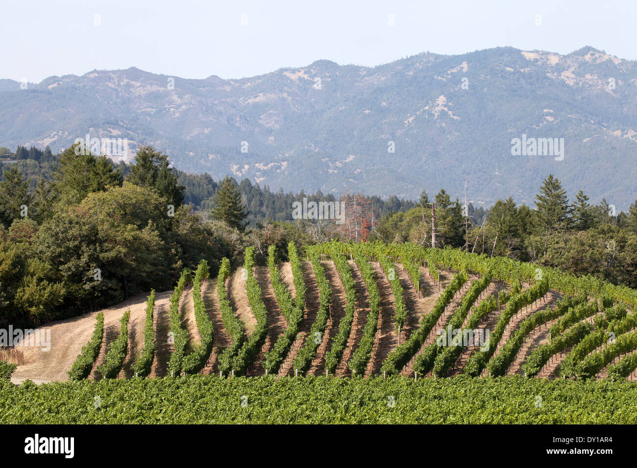 Helena valley hi-res stock photography and images - Alamy