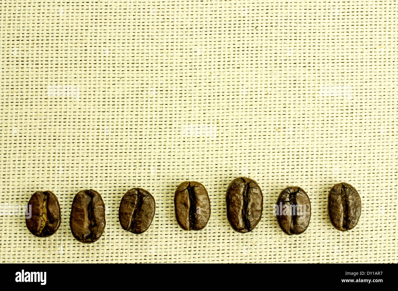 Fresh roasted coffee beans close-up in a horizontal line. Background ...