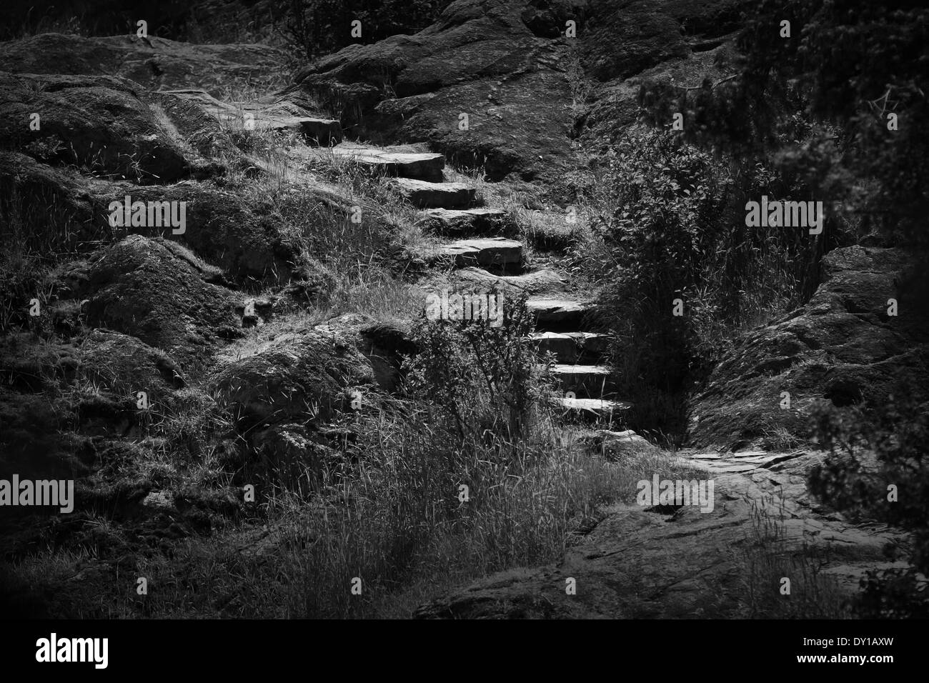 Scary dark stone steps hi-res stock photography and images - Alamy