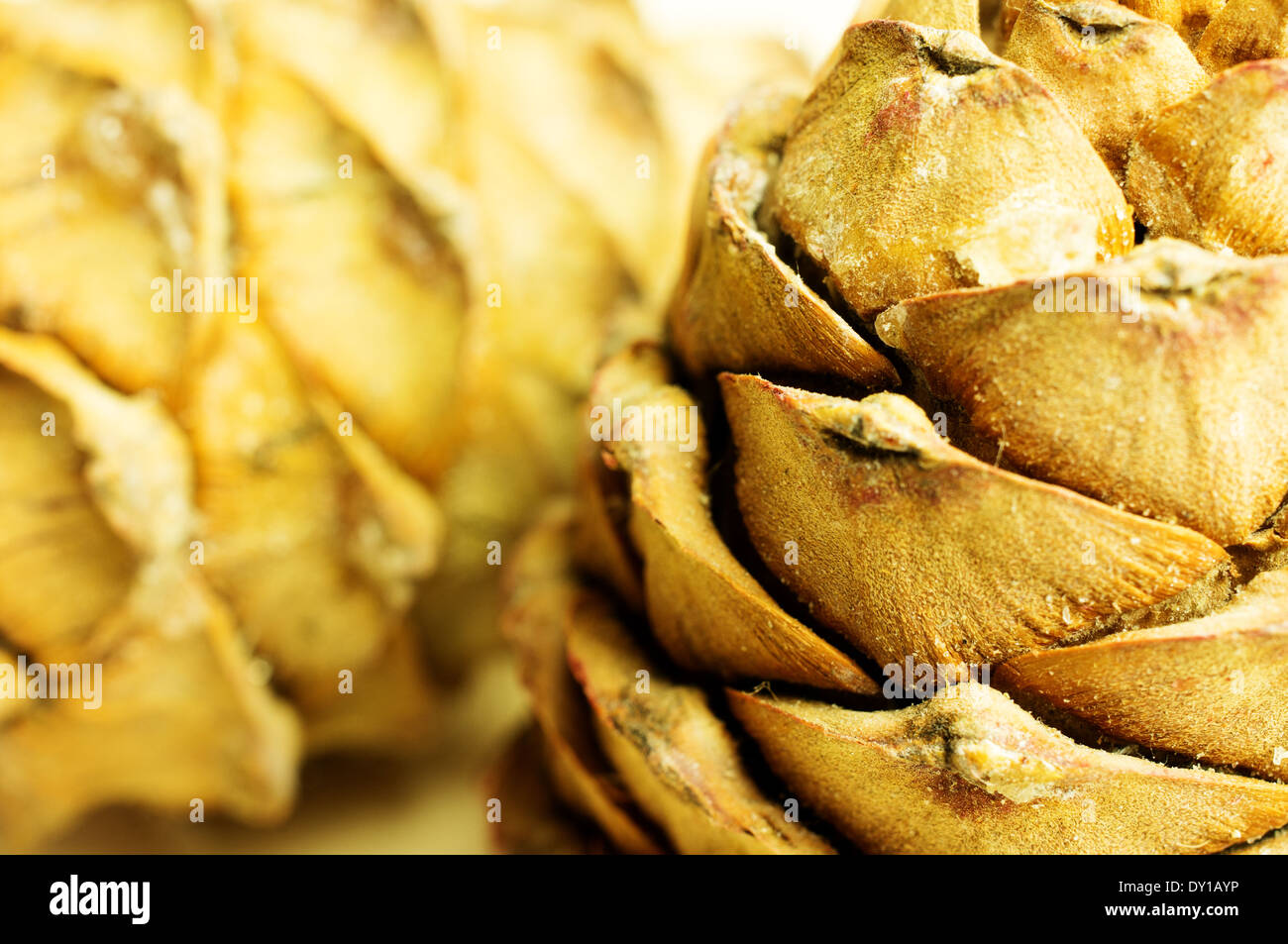 The shape of cones hi-res stock photography and images - Alamy